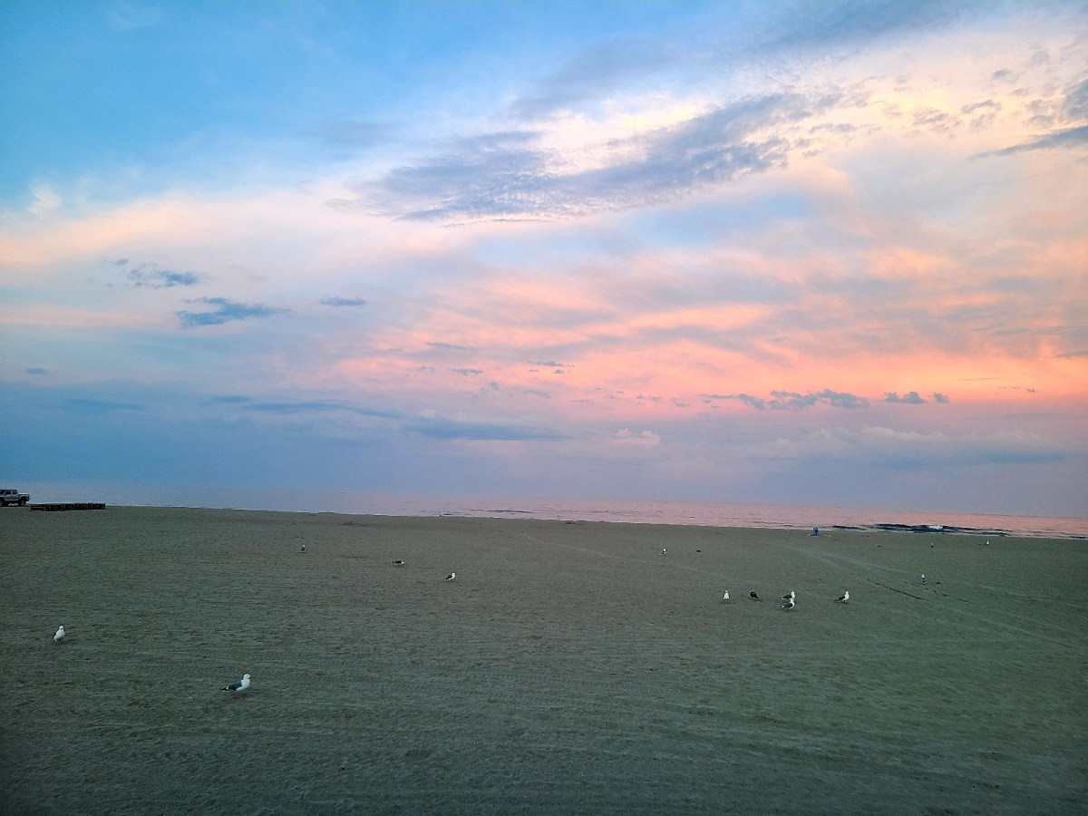 A Sour Note – Jill Piscitello